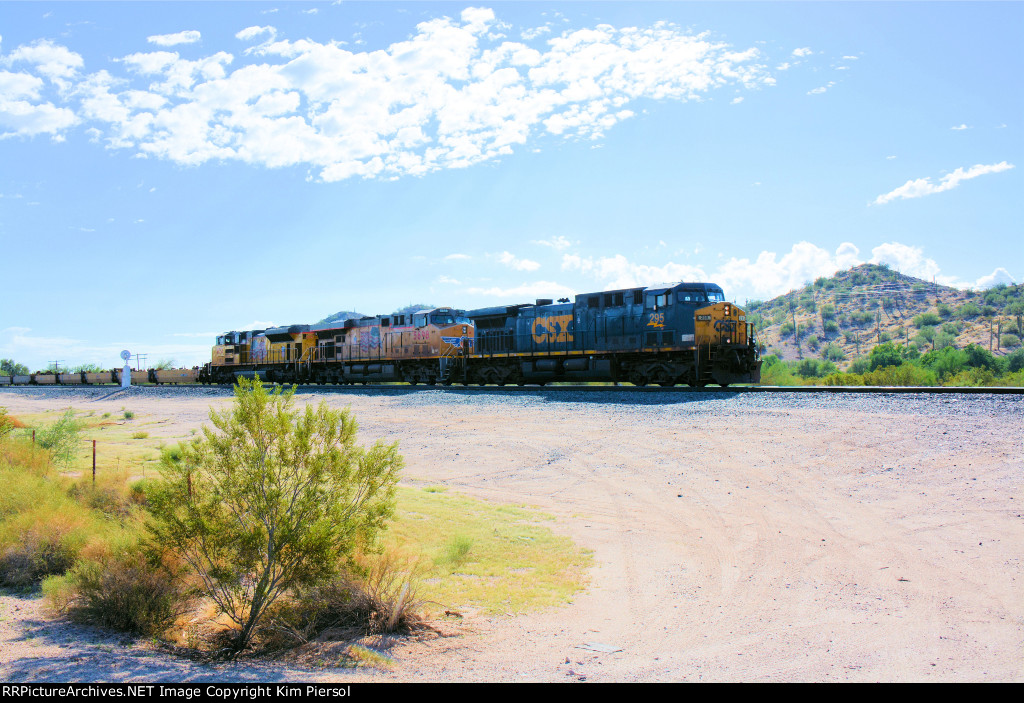 CSX 295 WB Baretable UP Gila Sub